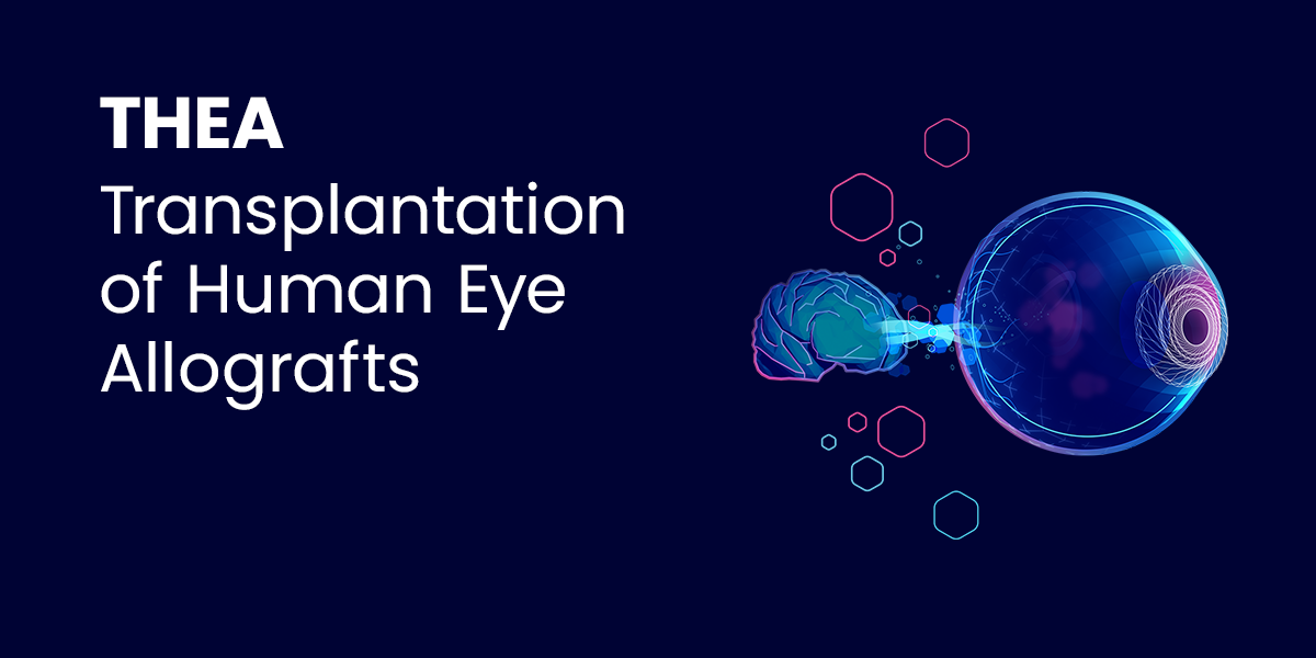 ARPA-H program aims to restore sight to people who are blind | ARPA-H